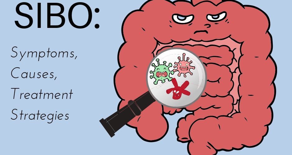 SIBO treatment Archives - Nutrition by Erin